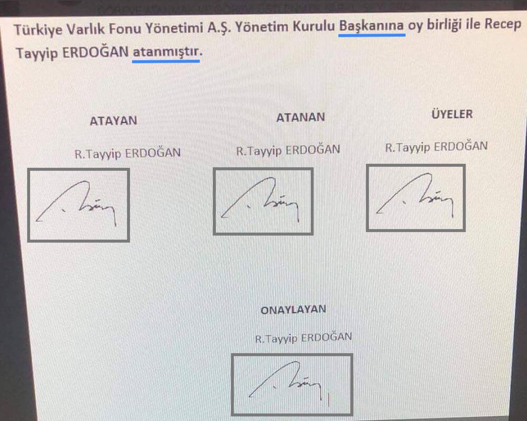 Is the document about the Turkey Wealth Fund showing Erdogan’s ...